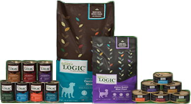 Unleash the Best Dog Food Products: Top 10 Picks from Distributors and ...